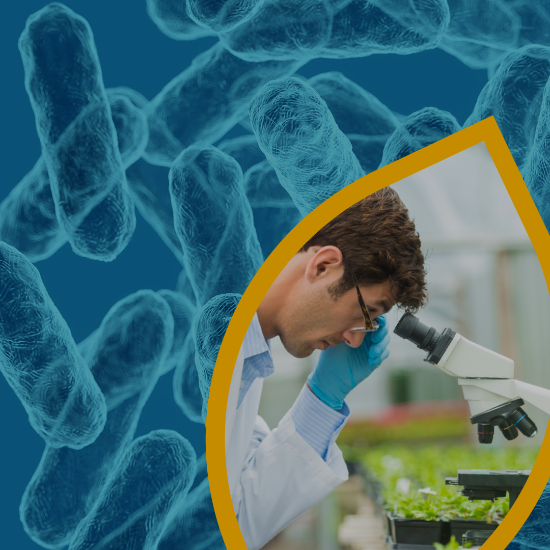 Rapid detection and Quantification of Bacterial Contamination to ...