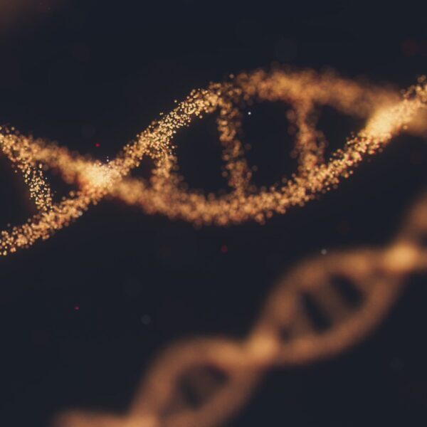 NIH Targeted Genome Editor Delivery Challenge - yet2