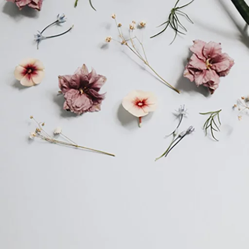 Unilever Seeking: Natural Antioxidants - yet2